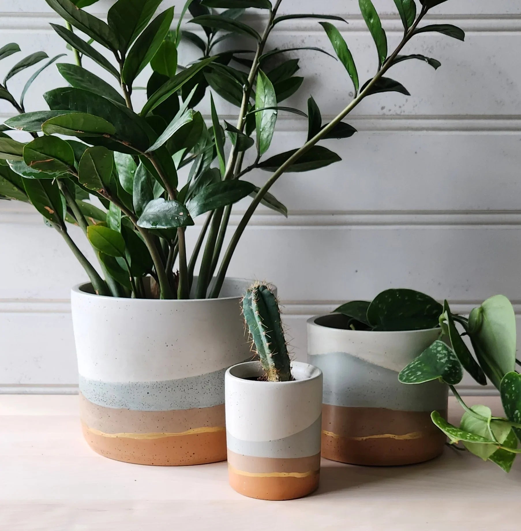 Plant 'Er Here – The Botanist Calgary