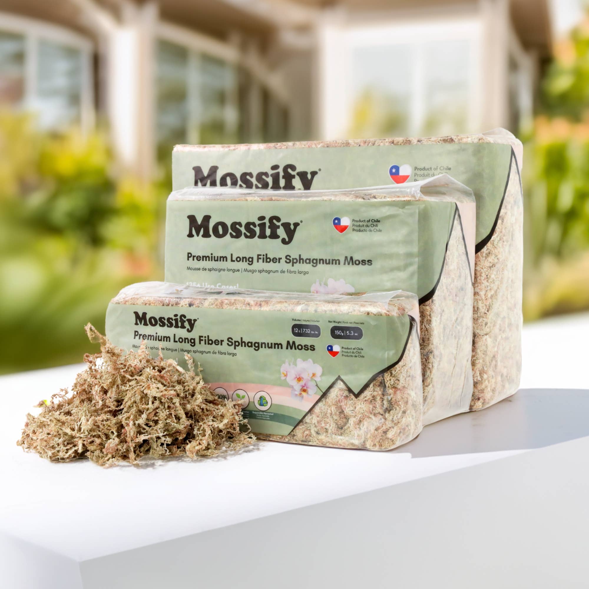 Long Fibre Sphagnum Moss Mossify – The Botanist Calgary